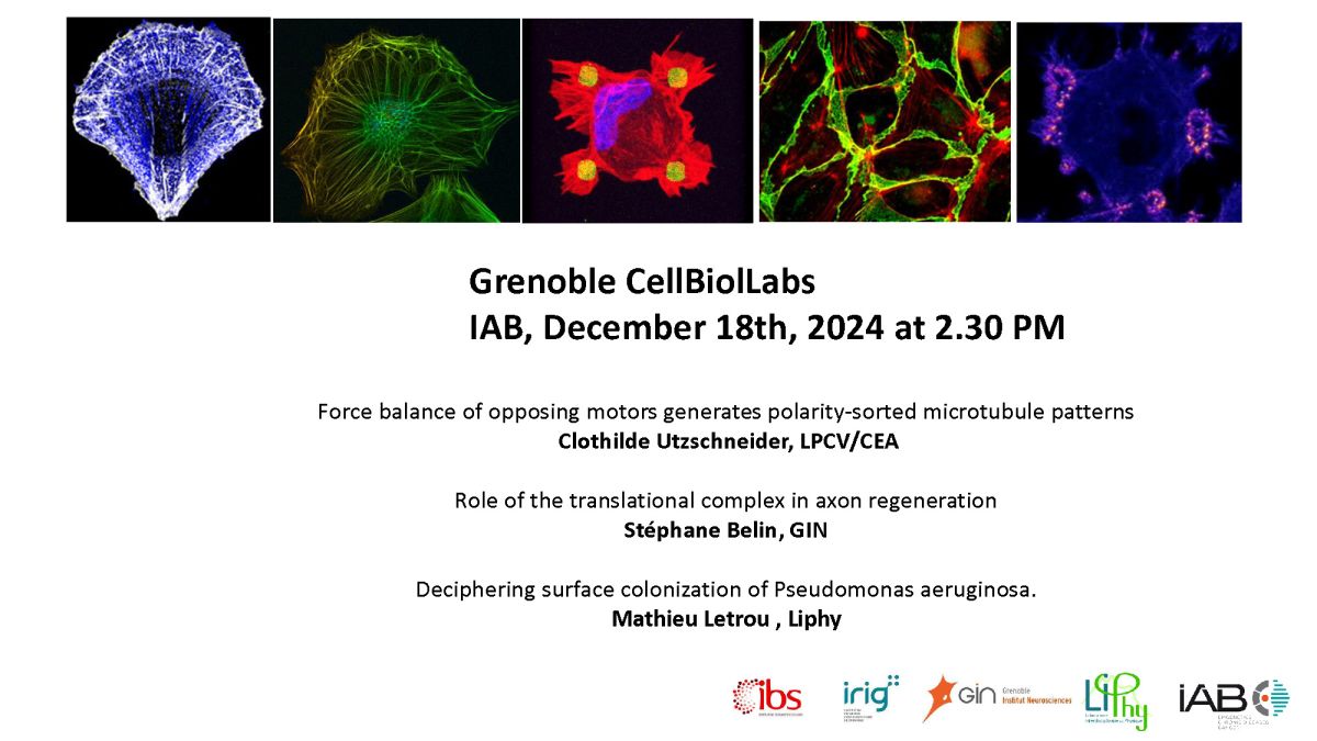 Club de Bio Cell Grenoble - IAB Grenoble
